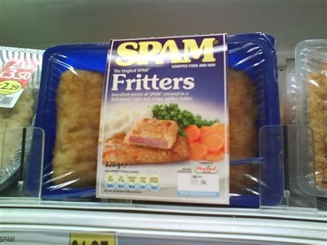 Spam Fritters The Adventures Of Accordion Guy In The 21st Century