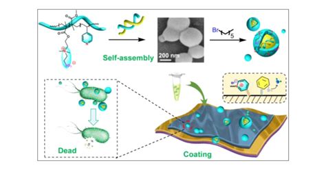 Cationic 4 Vinylpyridine Copolymer Nanospheres With Dual Active Centers For Antibacterial