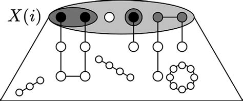 Setup Of The Dynamic Programming On Tree Decompositions A Vertex U ∈