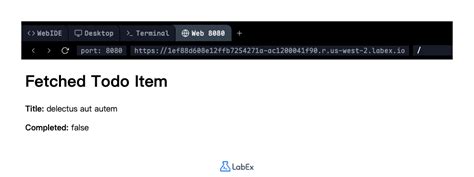 Call An Api In Javascript Labex