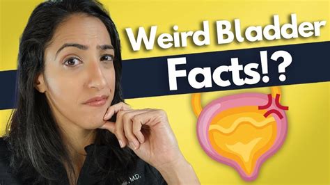 Weird Facts You Never Knew About Your Bladder November Bladder Health