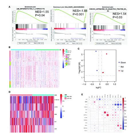 Validation Of Prognosis Associated Immune Signature Pais For Download Scientific Diagram
