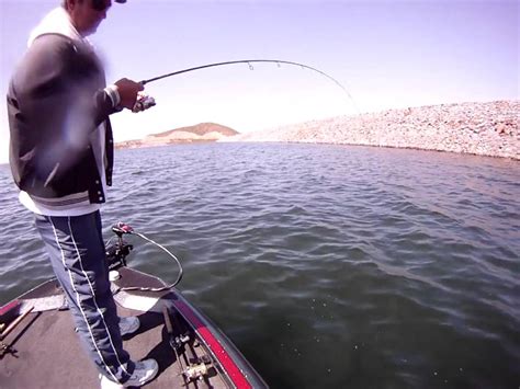 Bass Fishing Diamond Valley Lake Art Hill Youtube