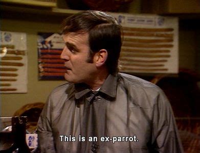 Monty Python Parrot Sketch Monty Python Repose En Paix Rire
