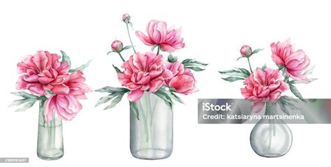 다양한 유리 꽃병과 항아리에 있는 모란의 꽃다발의 수채화 세트 손으로 그린 그림 아름 다운 꽃 벽지 고립 된 여름 식물 식물 초대장 또는 카드를 디자인하기 위한 요소입니다