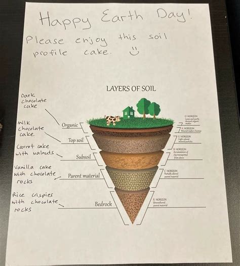 Soil Profile Drawing