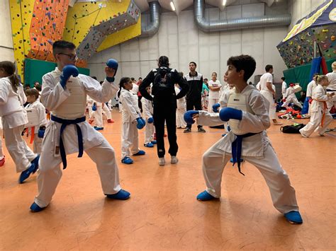 Vignate Doppia Medaglia Doro Per I Karateka Della Sons Of Fight