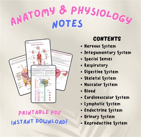 Anatomy And Physiology Notes Medical Study Guide For Nursing And Med