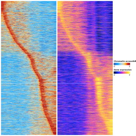 Gene Regulatory Network Of Cd4 T Cells Activaction • Scmega
