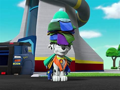 Paw Patrol Pups Save The Runaway Turtles Pups Save The Shivering