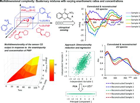 Multidimensional Complexity Of Quaternary Mixtures Of The Individual
