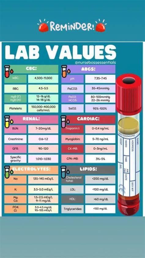 Cardiac Lab Interpretation And Troponin Artofit