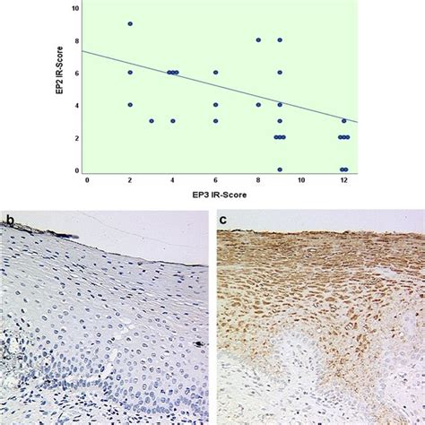 Correlation Diagram For Ir Score Of Ep2 And Ep3 Representing The Download Scientific Diagram