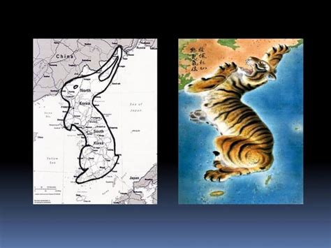 한반도 모양 토끼 Vs 호랑이 Mlbpark