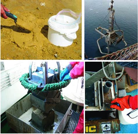 A Sampling Of Surface Sediments B C Lower Layer Sediment