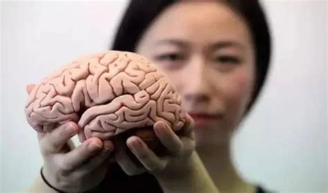 研究發現人類大腦正在持續增大 或可減輕痴呆風險 宅中地