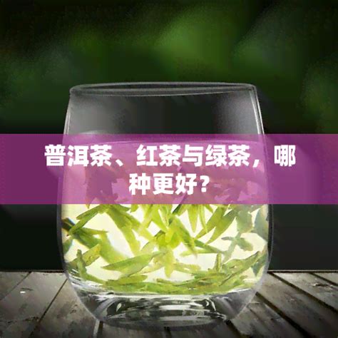 普洱茶、红茶与绿茶，哪种更好？ 普洱生茶熟茶