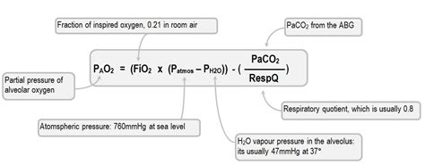 The Oxygen Cascade Deranged Physiology