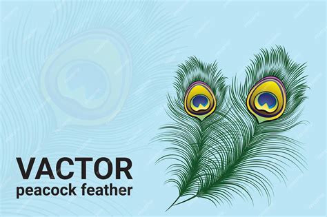 Premium Vector Peacock Feather Isolated Vector Icon