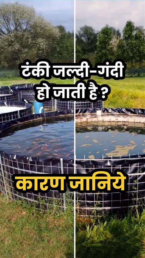 Happy Feeds Happyfishfeeds • Instagram Photos And Videos