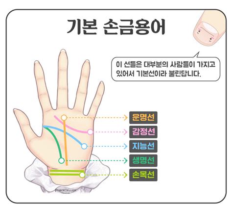 막 쥔 손금 원숭이 손금에 대한 오해와 진실 천기new설 포스텔러