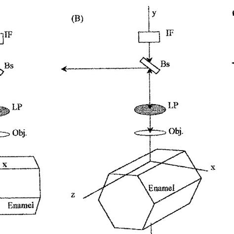 Polarization Experiments In New Transverse Excitation Detection Download Scientific Diagram