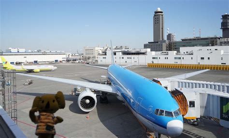 雲の上のレストラン・klm 成田ーアムス Kl862 ビジネスクラス搭乗記