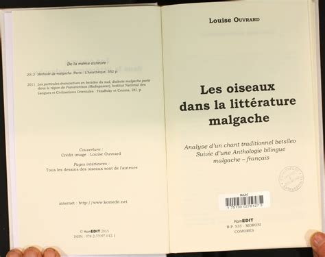 Dadabe Saina Gasy Par Mpirenireny Ela Les Oiseaux Dans La