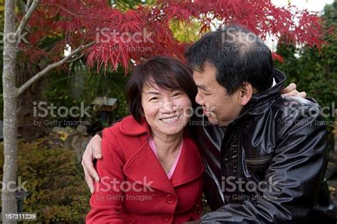 아시아판 성인 커플입니다 안기 야외 복사 공간이 커플에 대한 스톡 사진 및 기타 이미지 커플 베트남 민족 50 59세