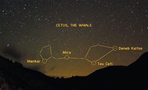 A Breakdown Of The April 8 2024 “the Great American North American