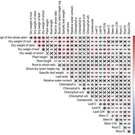 correlation analyses conducted among the investigated parameters