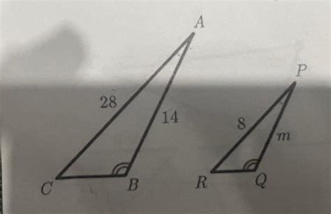 Solved Find M Chegg Com