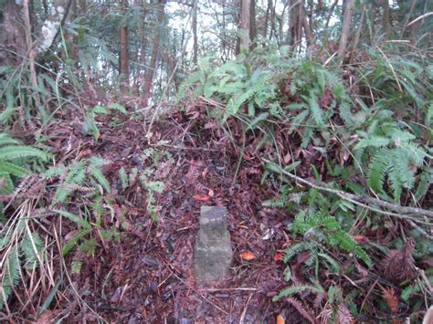 台中東勢麻竹坑山麻竹坑頭山楓樹崠山新伯公大茅埔麻竹坑頭山主峰和平打鐵坑山神谷山苗栗卓蘭壢灑坪 登山補給站