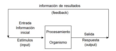 Modelo De Procesamiento De La Informacion Gufa