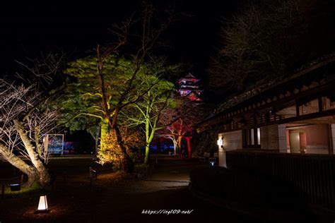 NAKED夜まつり ING株式会社