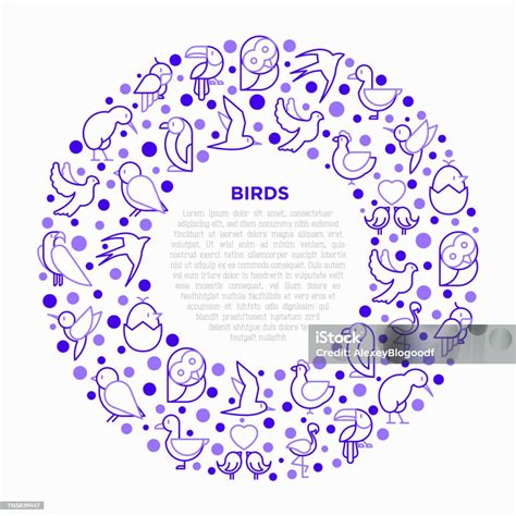 얇은 선 아이콘 동그라미에 새 개념 비둘기 올빼미 펭귄 참새 제비 키 위 앵무새 독수리 허 밍 새 핑크 플라밍고 현대 벡터 일러스트 레이 션 인쇄 미디어 템플릿 갈매기에