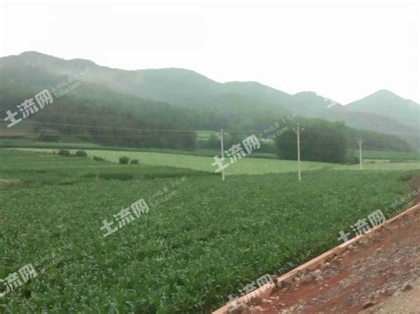 云南山地出租20元一亩山地出租3元一亩草场出租10元一亩大山谷图库