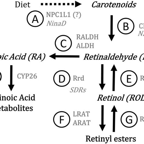 Chemical Structures Of Neonicotinoids Download Scientific Diagram