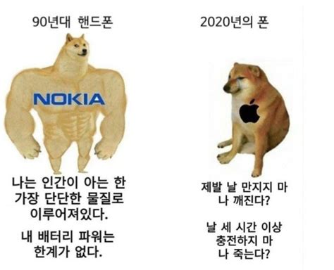유머짤방[유머] 근육시바견 밈 모음 유머짤방게임조선
