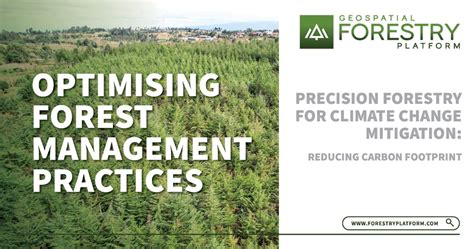 Precision Forestry Reducing Carbon Footprint Europe