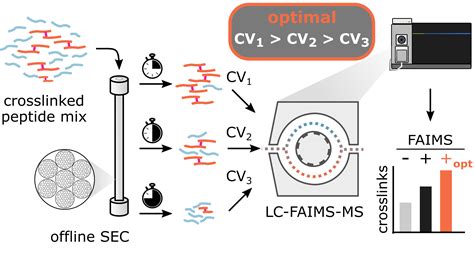 Leveraging Parameter Dependencies In High Field Asymmetric Waveform Ion Mobility Spectrometry