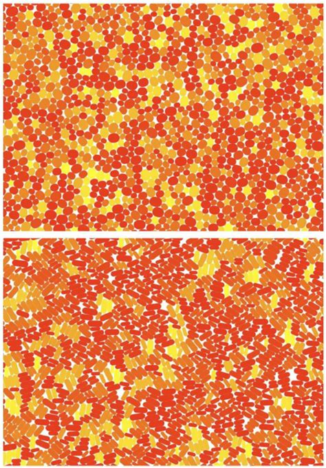 Color online Color level map of particle orientations for η Download Scientific