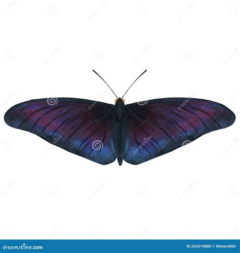 Twilight Moth Insect Spreading Wings Variation 2 Transparent Background