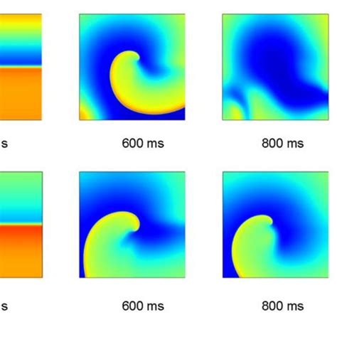 Simulated Spiral Waves In A 2d Model Of Human Atrium Top Panels Show Download Scientific