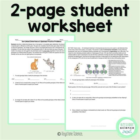 Sex Linked Cat Genetic Inheritance Patterns Worksheet Biology Steels Ngss