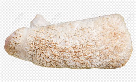 돼지 고기 배꼽 Png 일러스트 무료 다운로드 Lovepik