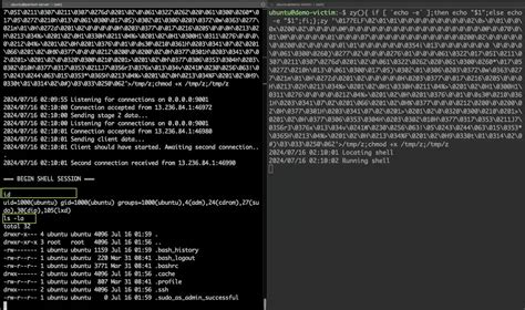 Oneshell 加密反弹shell生成器 仅使用echo和chmod命令 🔰雨苁ℒ🔰