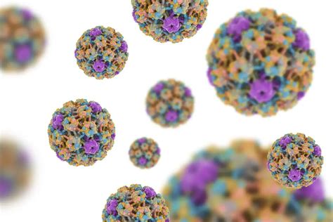 Hpv Genital Warts Symptoms Treatment Testing Std Hpv