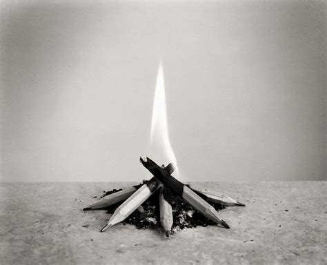 Exposición De Chema Madoz En El Jardín Botánico
