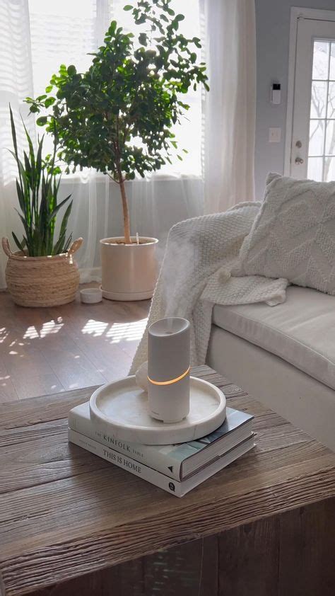 Salking 2 In 1 Ultrasonic Essential Oil Diffuser And Himalayan Salt Lamp